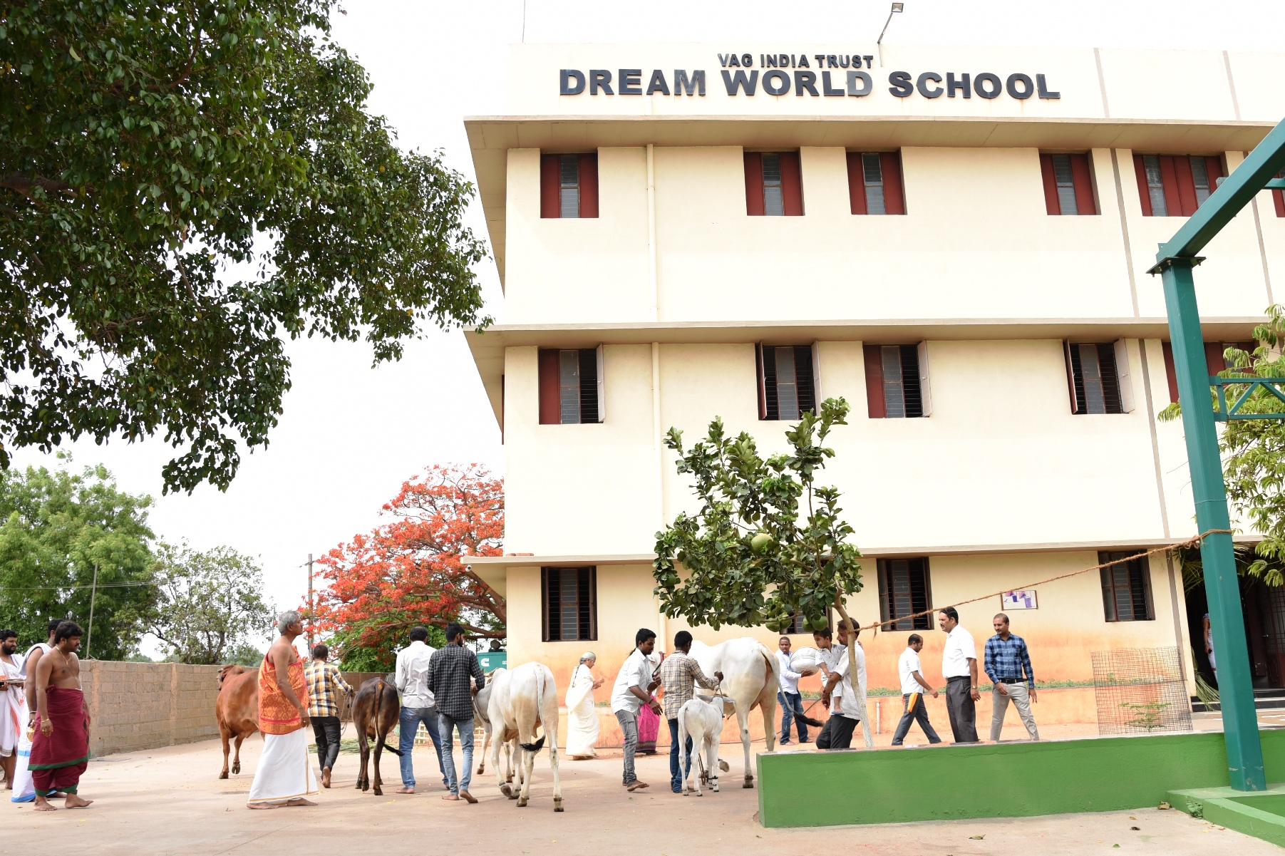 Dream World School